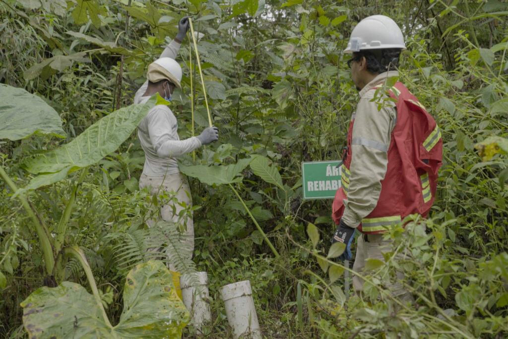 Committees - SolGold